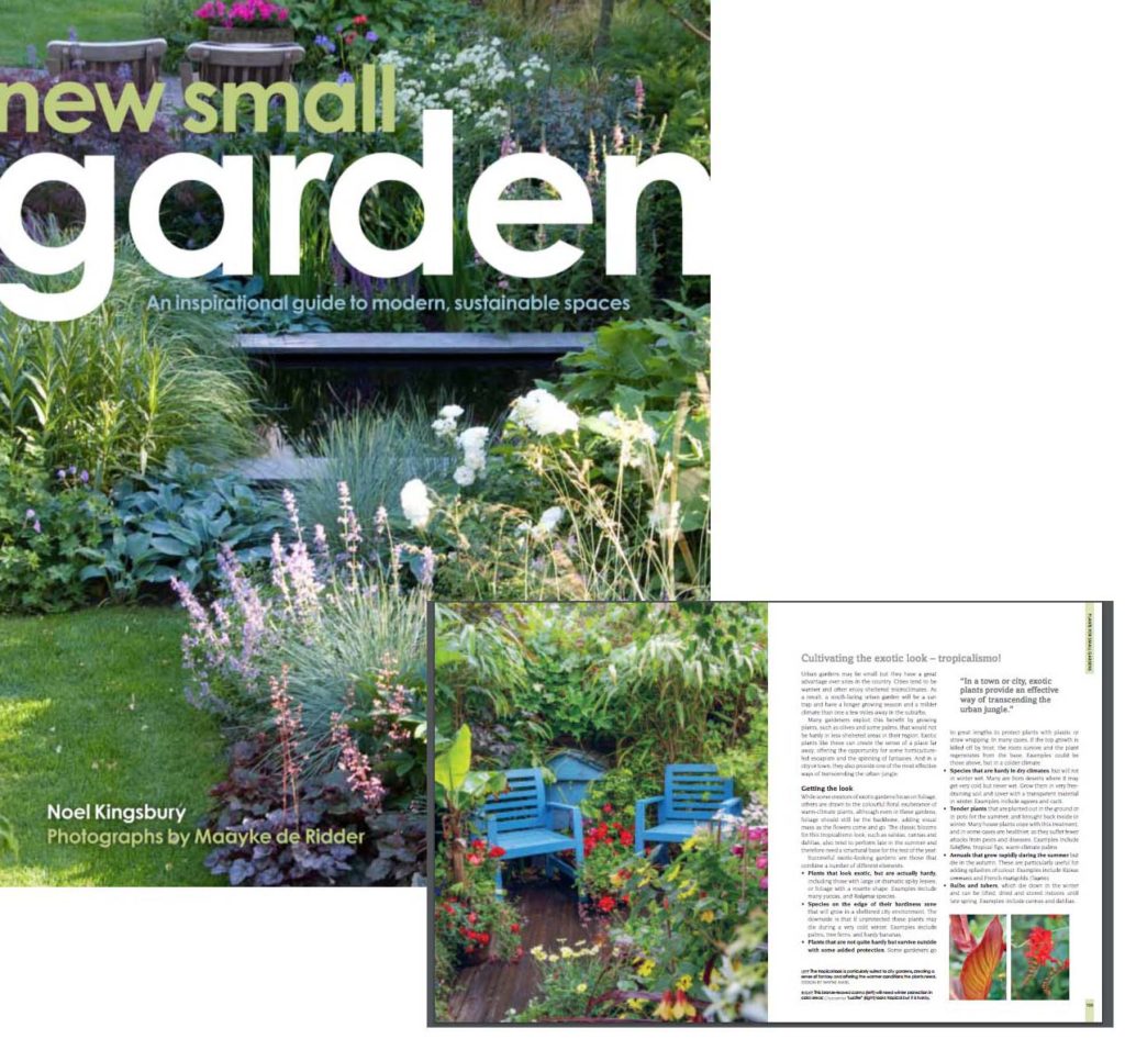 New small garden: 2016 | Wayne's Garden Blog